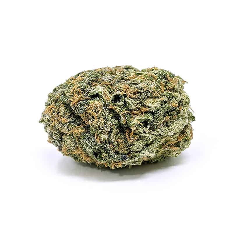 Gas Chamber | Buy Weed Online | Online Dispensary