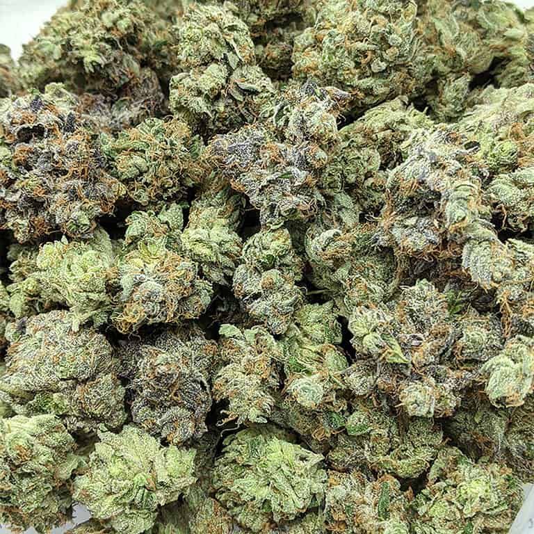 Tyson Farms - Grease Monkey | Buy Weed Online | Online Dispensary