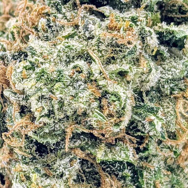 King Louis XIII | Buy Weed Online | Online Dispensary