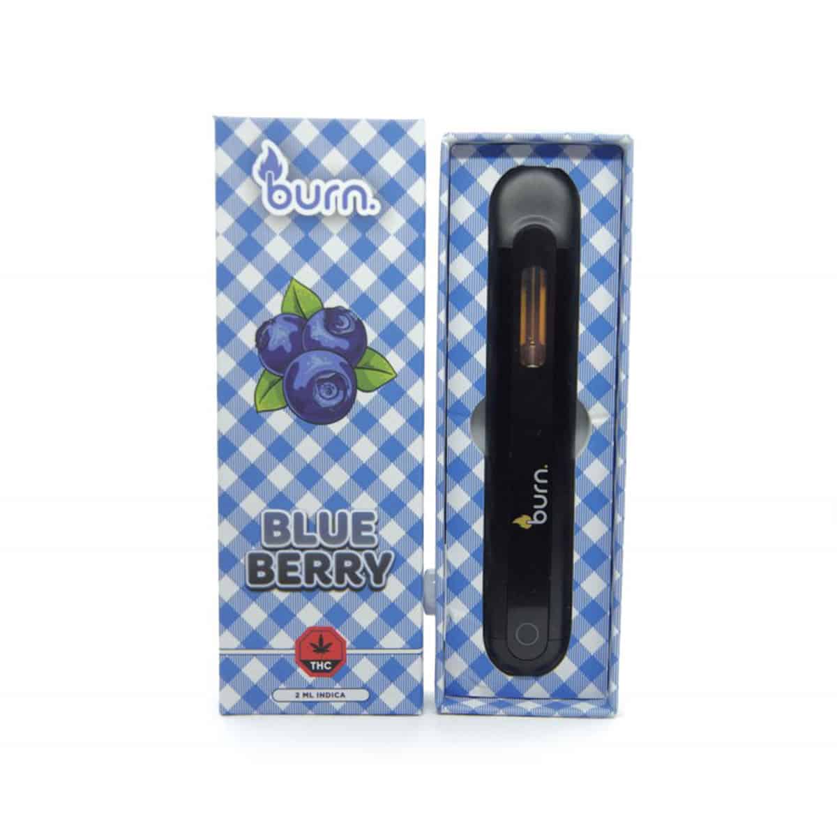 Burn Mega Sized 2mL Disposable Vapes - Blueberry