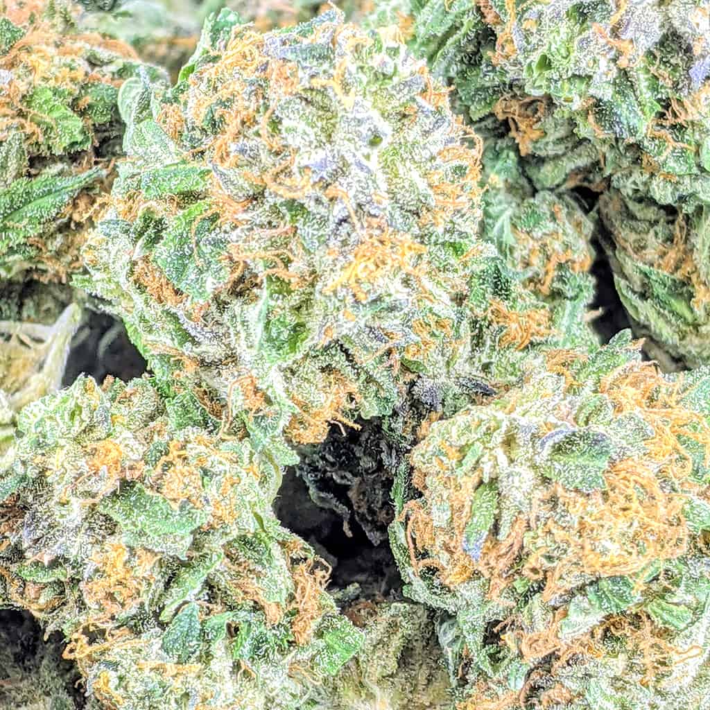 G13 Budget Buds | Buy Weed Online | Online Dispensary
