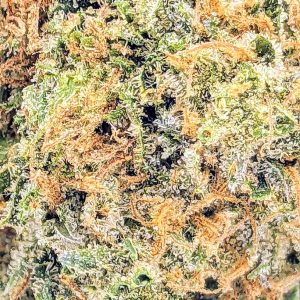 El Jefe Strain | Online Dispensary Canada | Bulkweedinbox