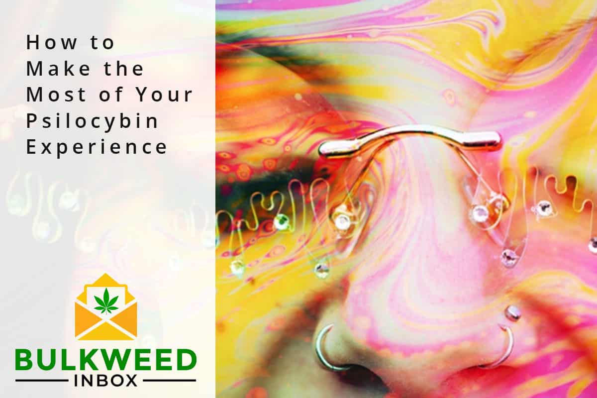 How to Make the Most of Your Psilocybin Experience | Bulkweedinbox