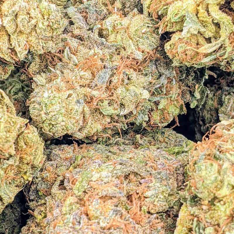 Platinum Rockstar AAA | Buy Weed Online | Online Dispensary