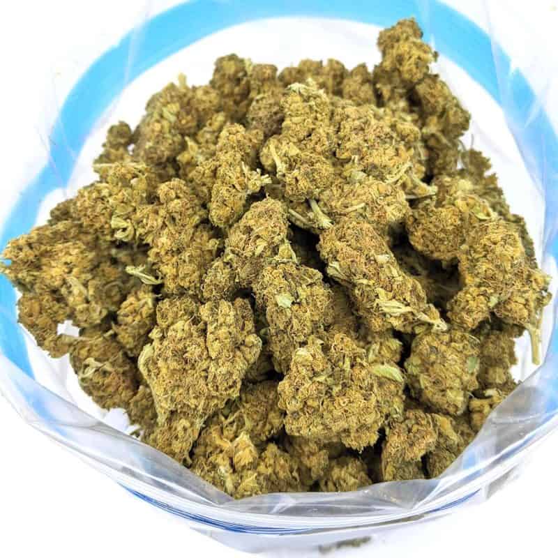 Pine Tar (with seeds) Budget Buds | Buy Weed | Bulkweedinbox