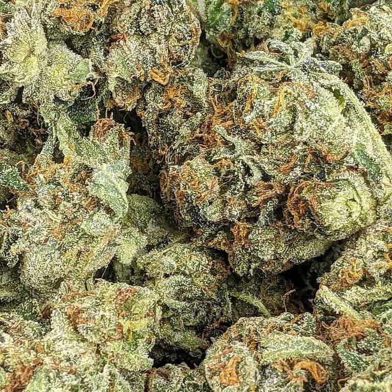 Citrus Cookies AA+ | Buy Weed Online | Online Dispensary