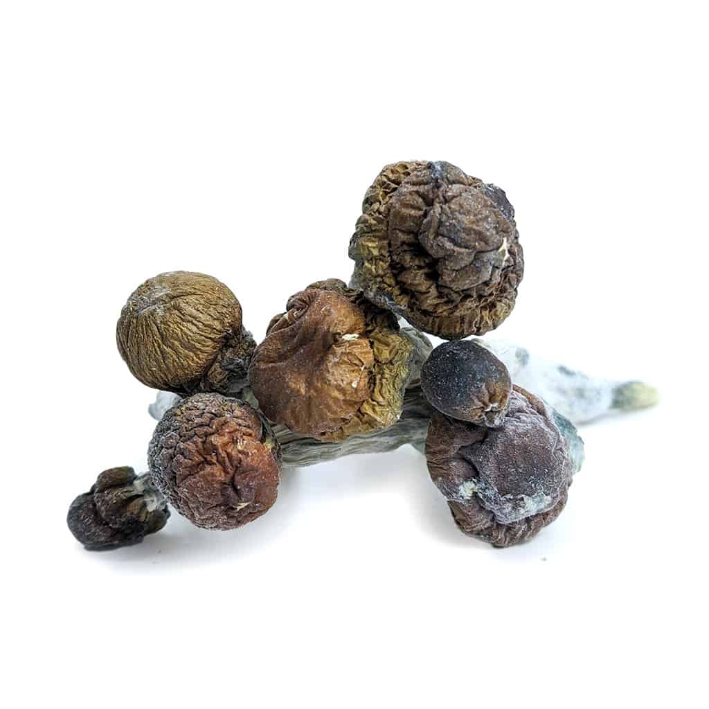 Penis Envy Magic Mushrooms | Buy Weed Online | Online Dispensary