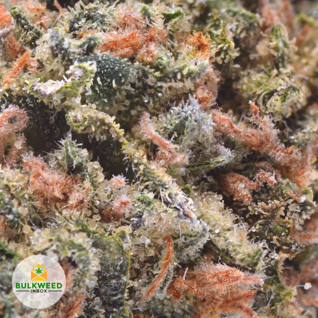 Banana Cookies AA+ | Buy Weed Online | Online Dispensary