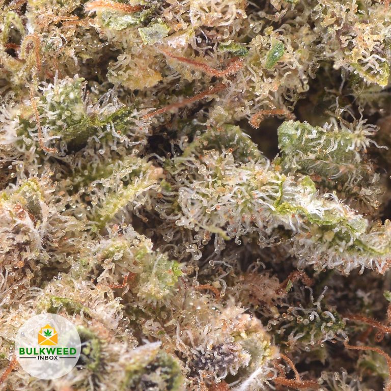 Pine Tar AA+ | Buy Weed | Bulkweedinbox