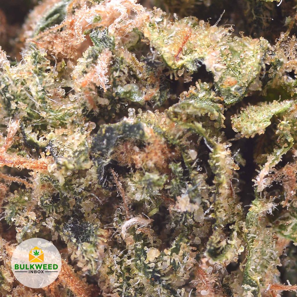 Cali Orange AAA | Buy Weed Online | Online Dispensary