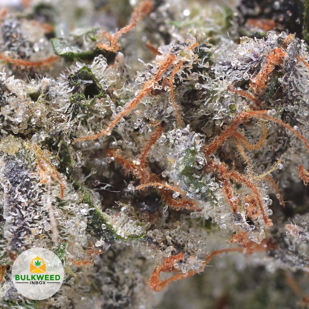 Sticky Larry AAAA+ Okanagan Ranch | Buy Weed Online | Online Dispensary
