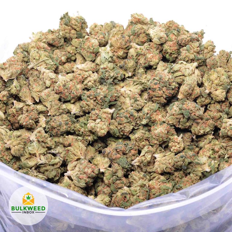 Pine Tar AA+ | Buy Weed | Bulkweedinbox