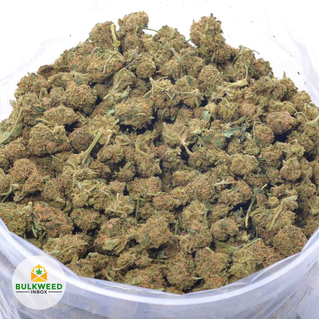 *Cherry Cola - Christmas Special $19.99* | Buy Weed Online | Online ...