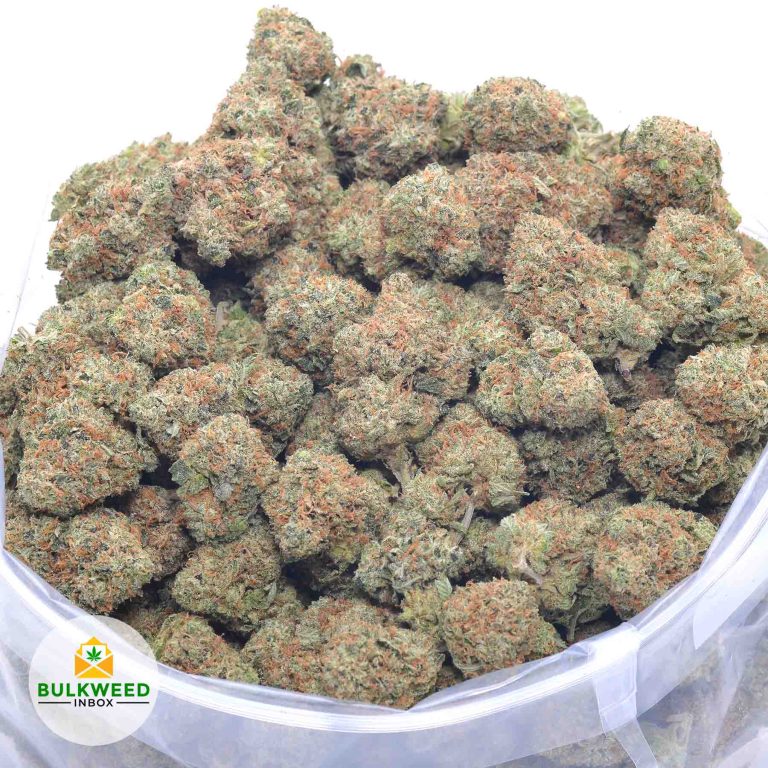 El Chapo AAAA | Buy Weed | Bulkweedinbox