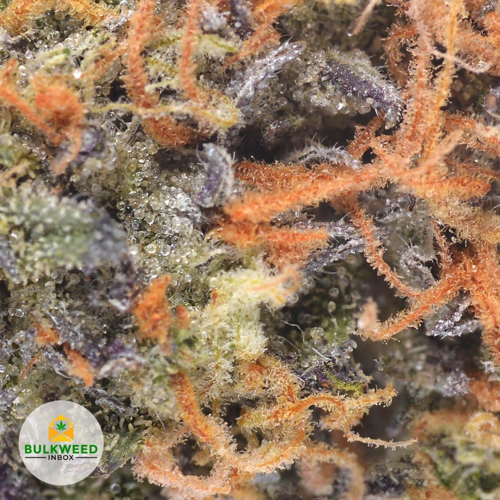 Fruit Loops AAA | Buy Weed Online | Online Dispensary