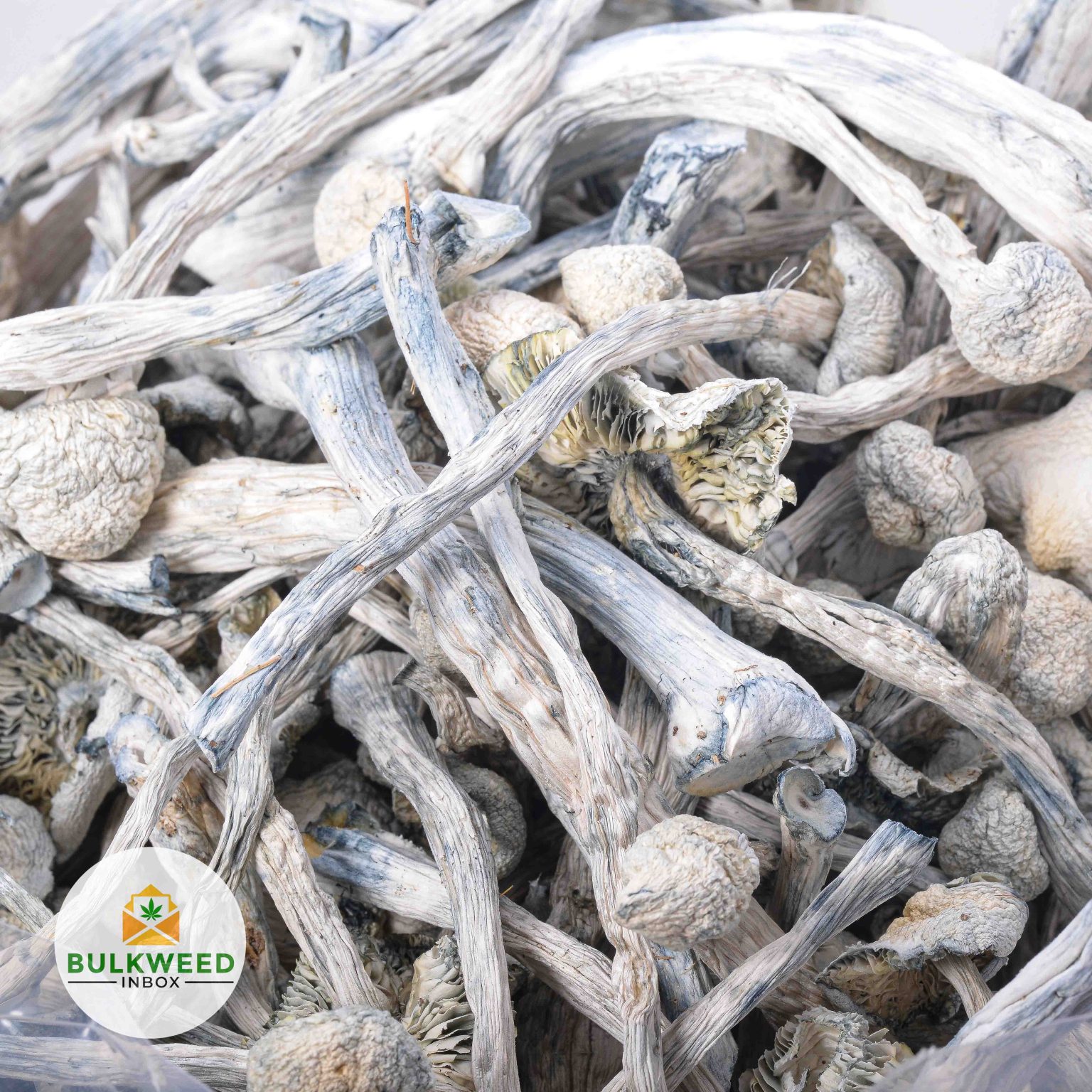 White Truffle Magic Mushrooms | Buy Weed Online | Online Dispensary