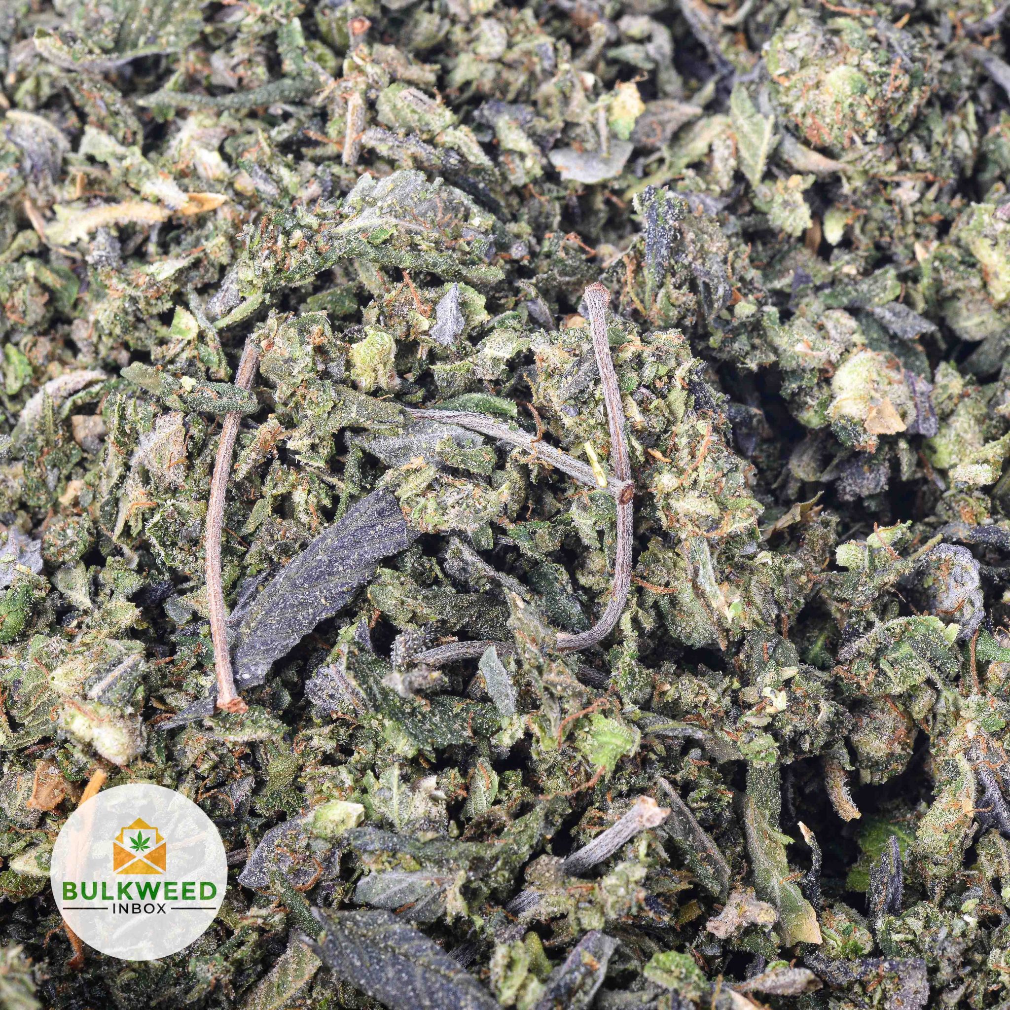 Blueberry Cookies Craft Shake Weed (1 Pound) | Buy Weed Online | Online ...