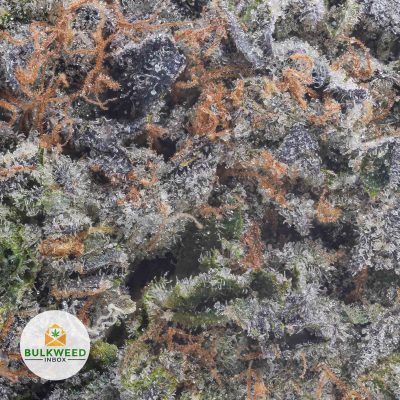 El Jefe Strain | Online Dispensary Canada | Bulkweedinbox