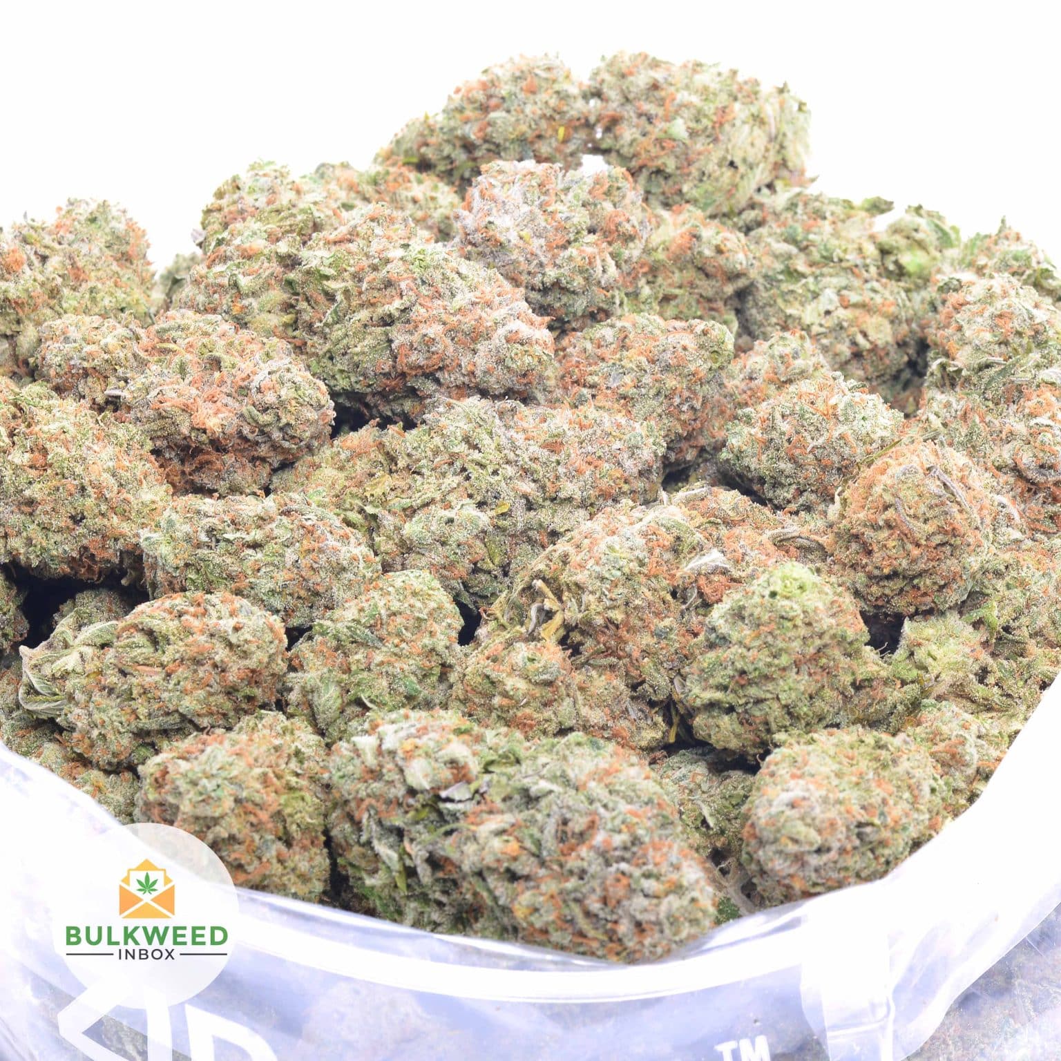 Pine Tar AAAA Budget Buds | Buy Weed | Bulkweedinbox