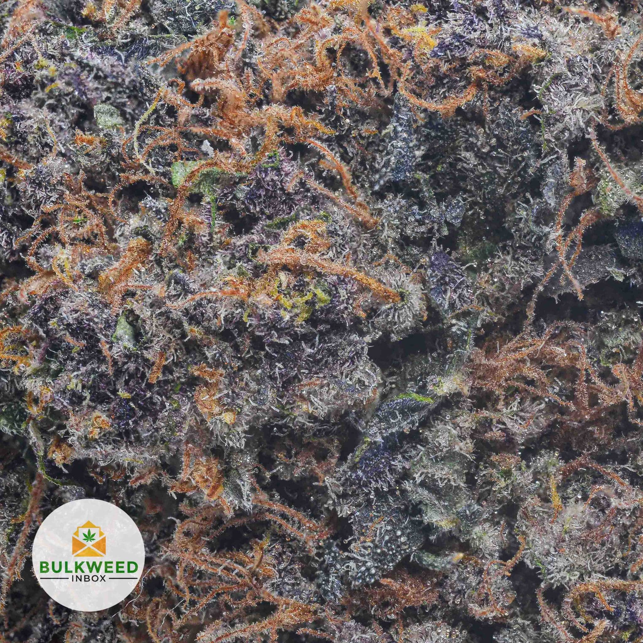 Durban Poison AA+ | Buy Weed Online | Online Dispensary