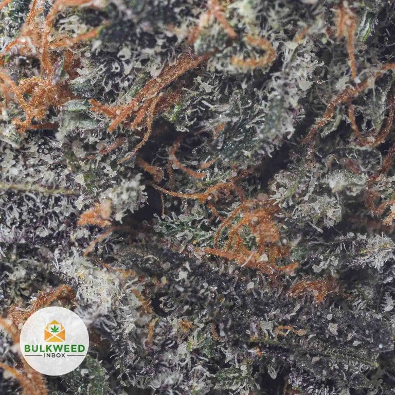 Pink Wagyu AAAA | Buy Weed Online | Online Dispensary