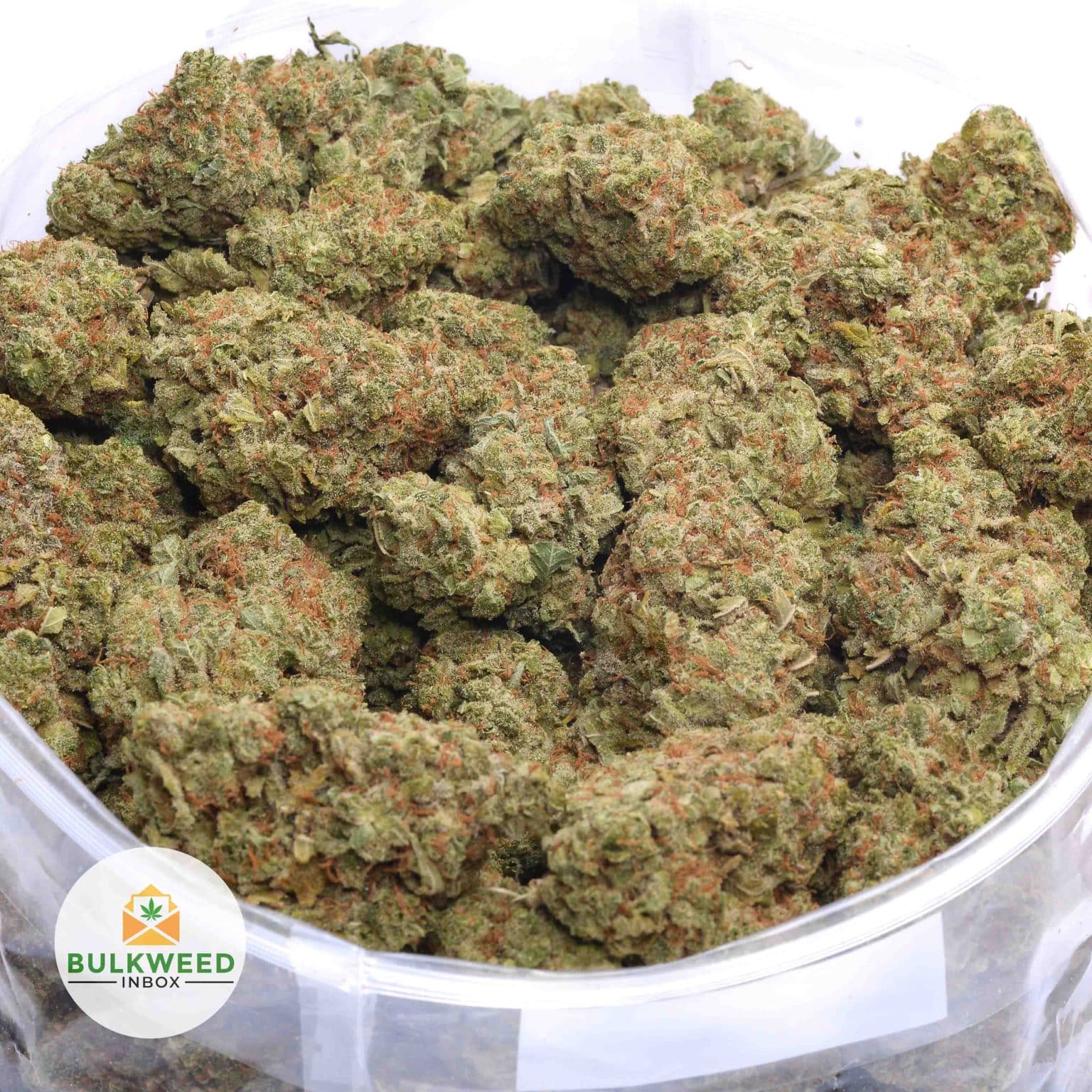 Pine Tar AA+ | Buy Weed | Bulkweedinbox