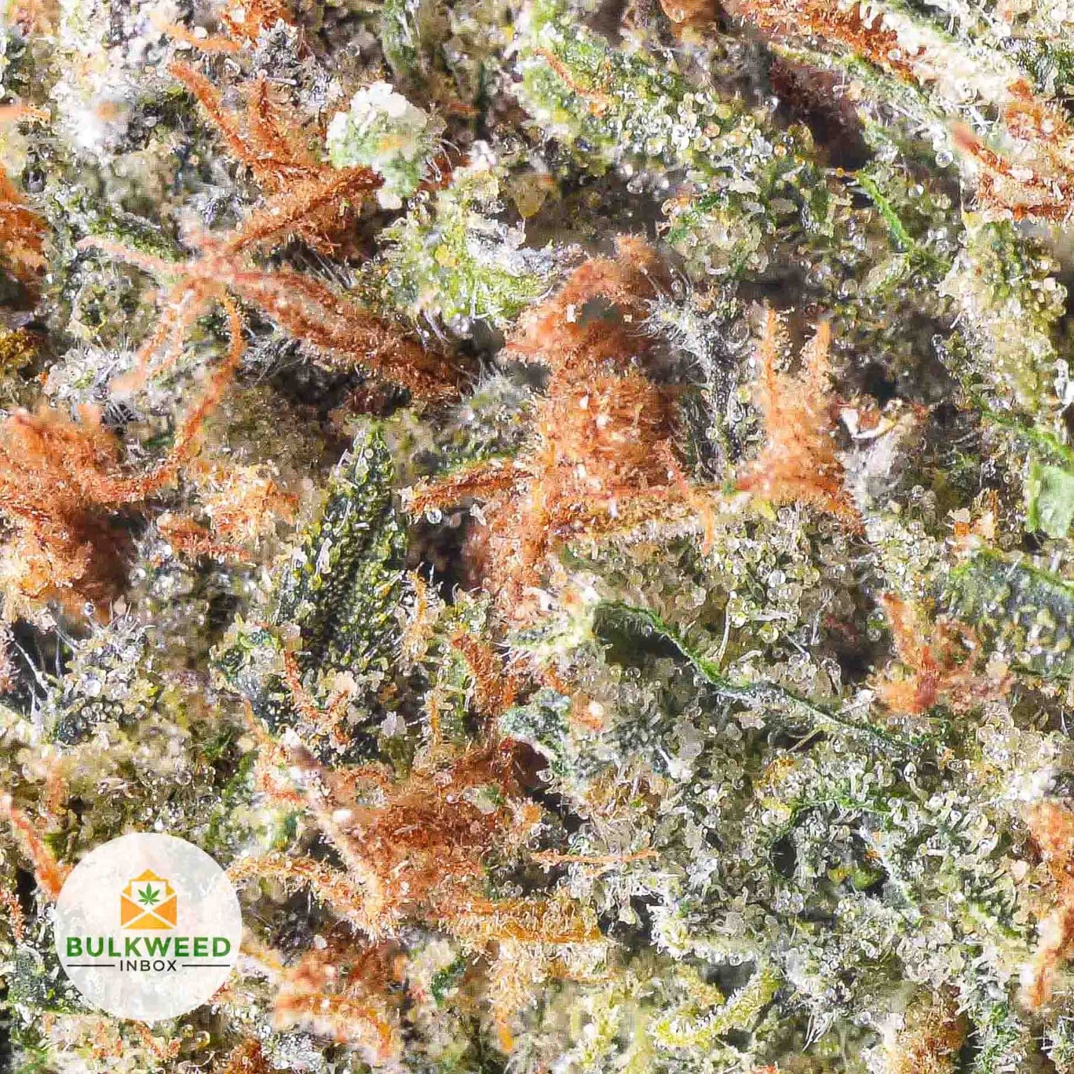 Pink Gas Mask AAA | Buy Weed Online | Online Dispensary