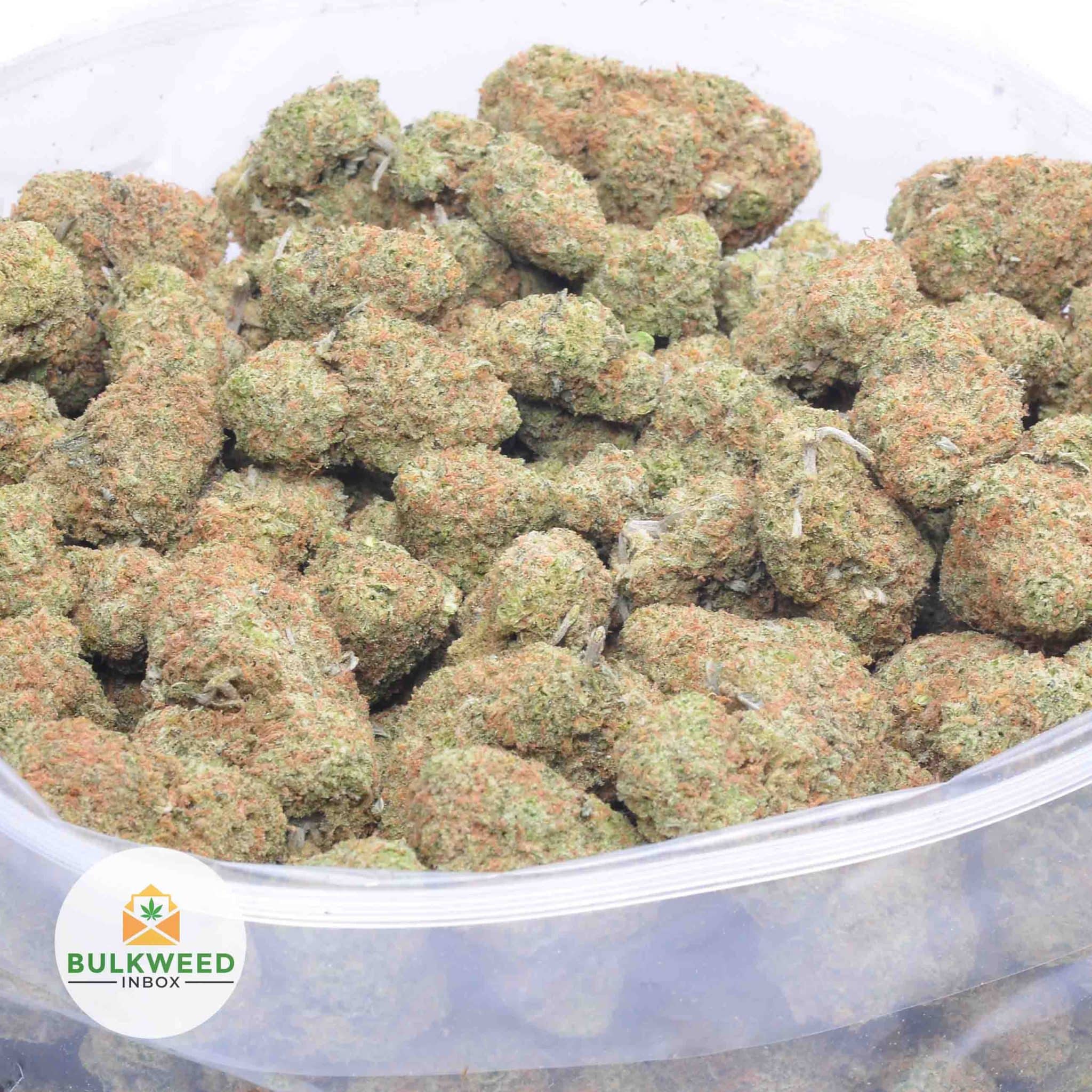 Sundae Driver AAAA Budget Buds | Buy Weed | Bulkweedinbox