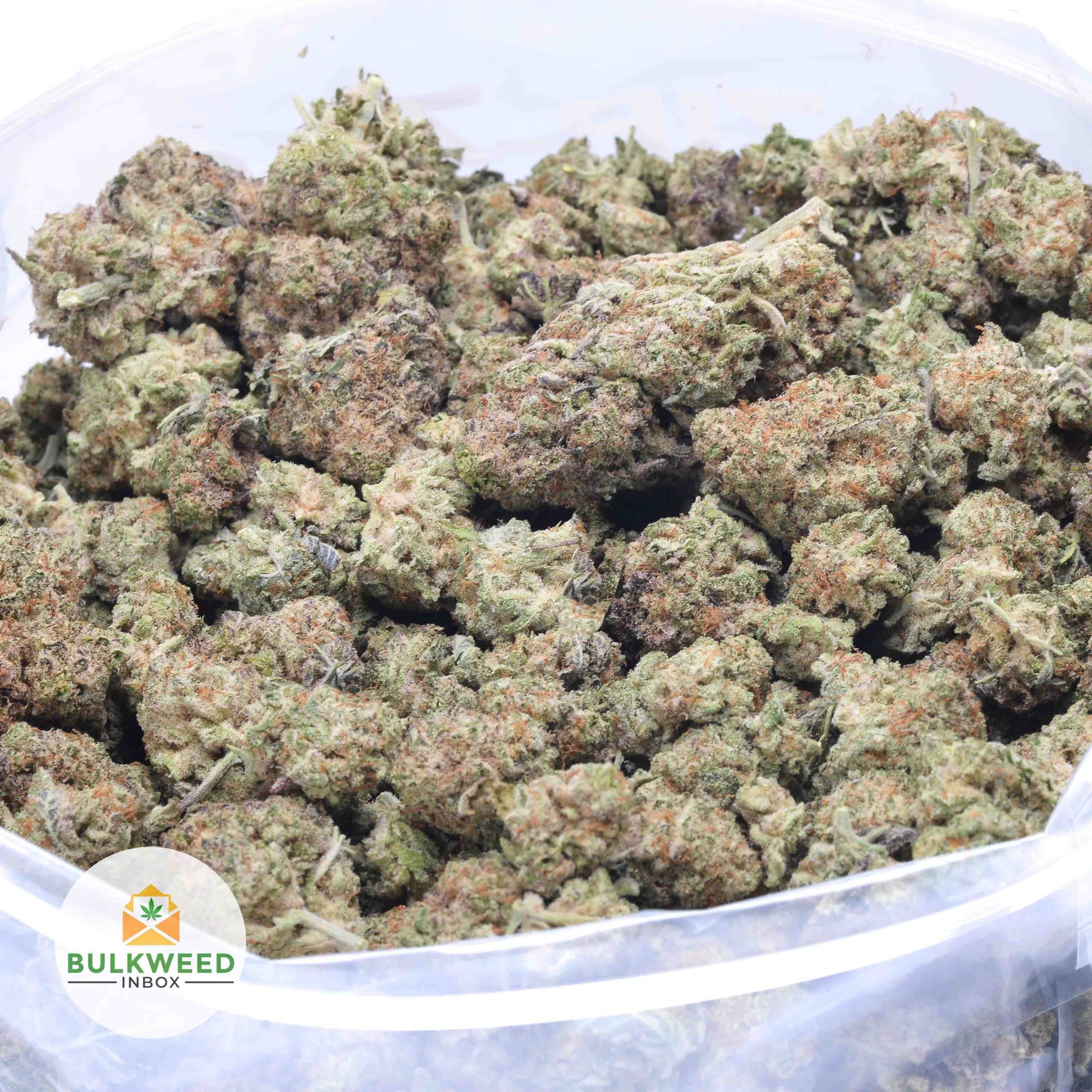 Moby Dick AA+ | Buy Weed Online | Online Dispensary