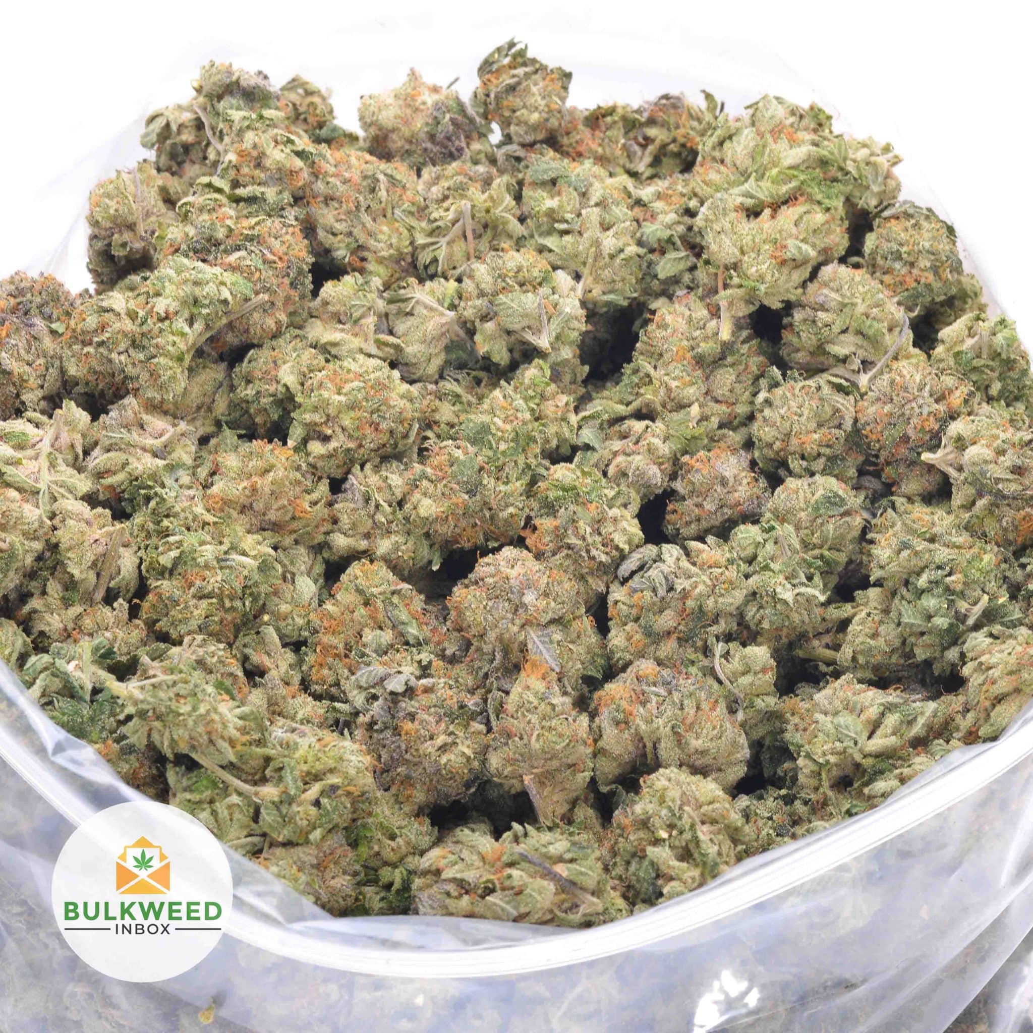 El Jefe Strain | Online Dispensary Canada | Bulkweedinbox