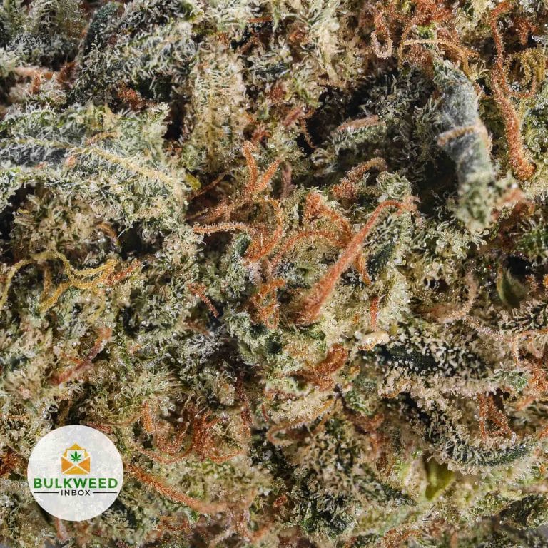 Sundae Driver AA+ | Buy Weed | Bulkweedinbox