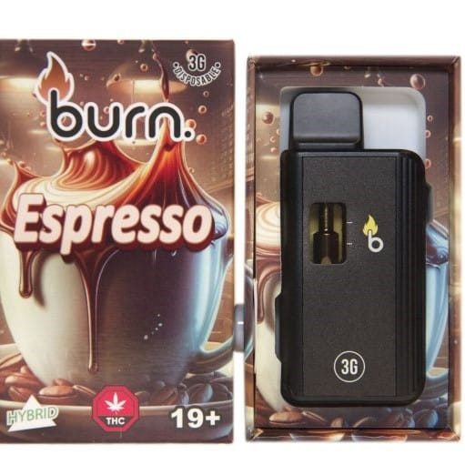 Burn - Espresso 3 Grams Disposable Vape | Buy Weed Online | Online ...