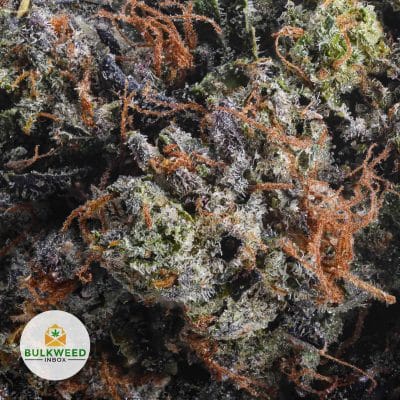 Purple Octane AAA+ | Buy Weed Online | Bulkweedinbox