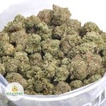 El Jefe Strain | Online Dispensary Canada | Bulkweedinbox