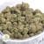 El Jefe Strain | Online Dispensary Canada | Bulkweedinbox