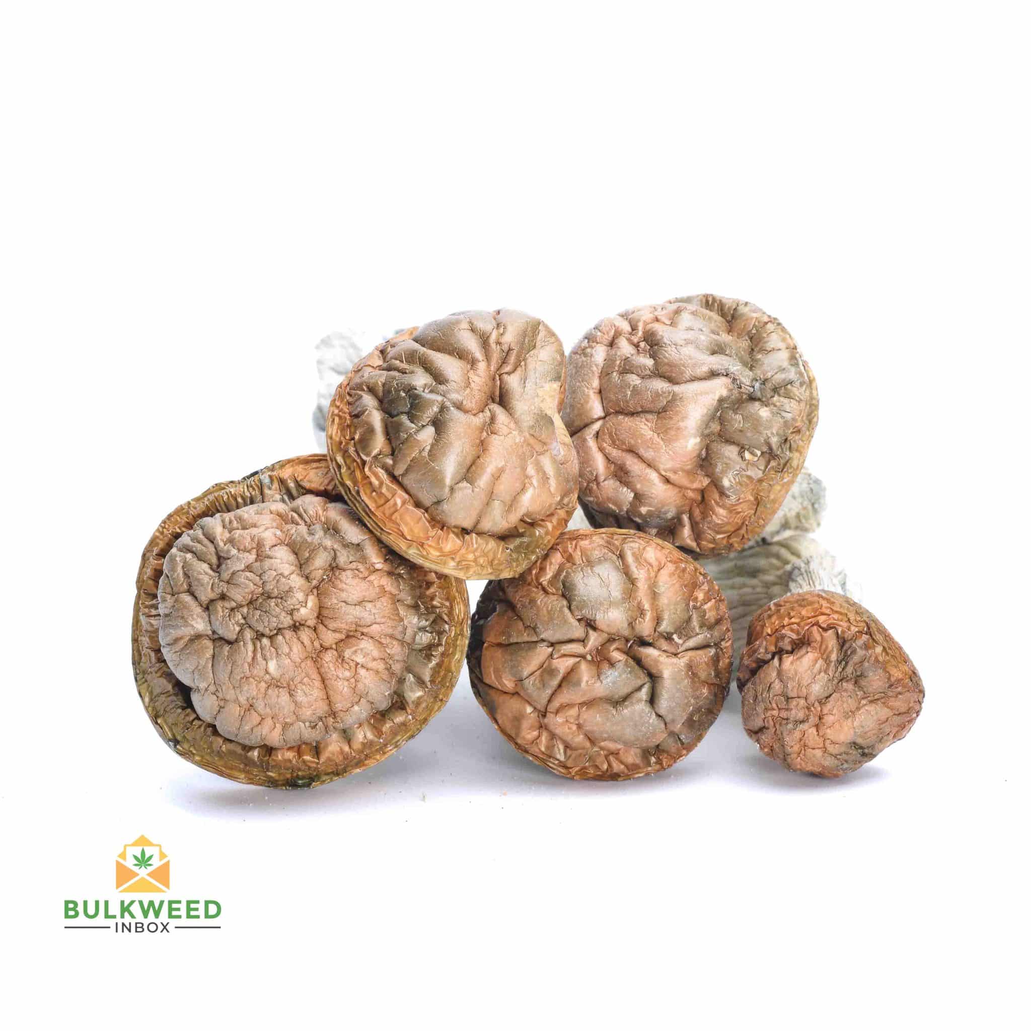 Mc Gorilla Magic Mushrooms | Buy Weed Online