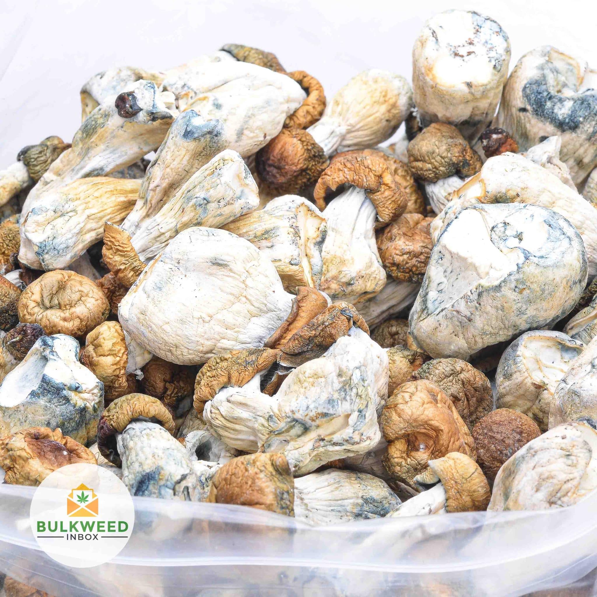 Trinity Magic Mushrooms | Buy Weed Online