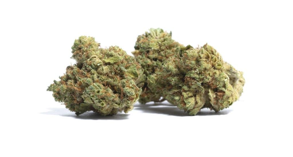 May The Bud Be With You: Exploring Death Star Strain Potent Effects