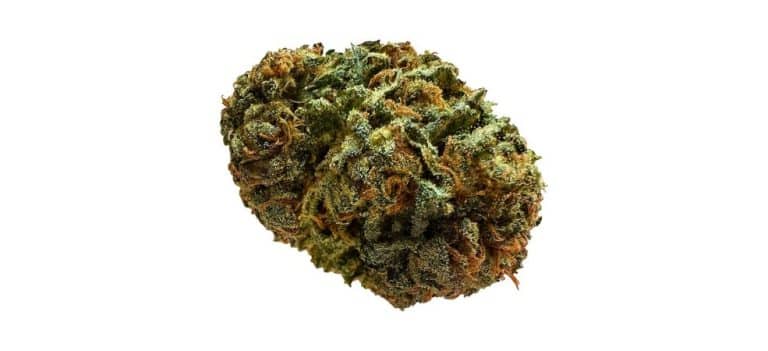 May The Bud Be With You: Exploring Death Star Strain Potent Effects