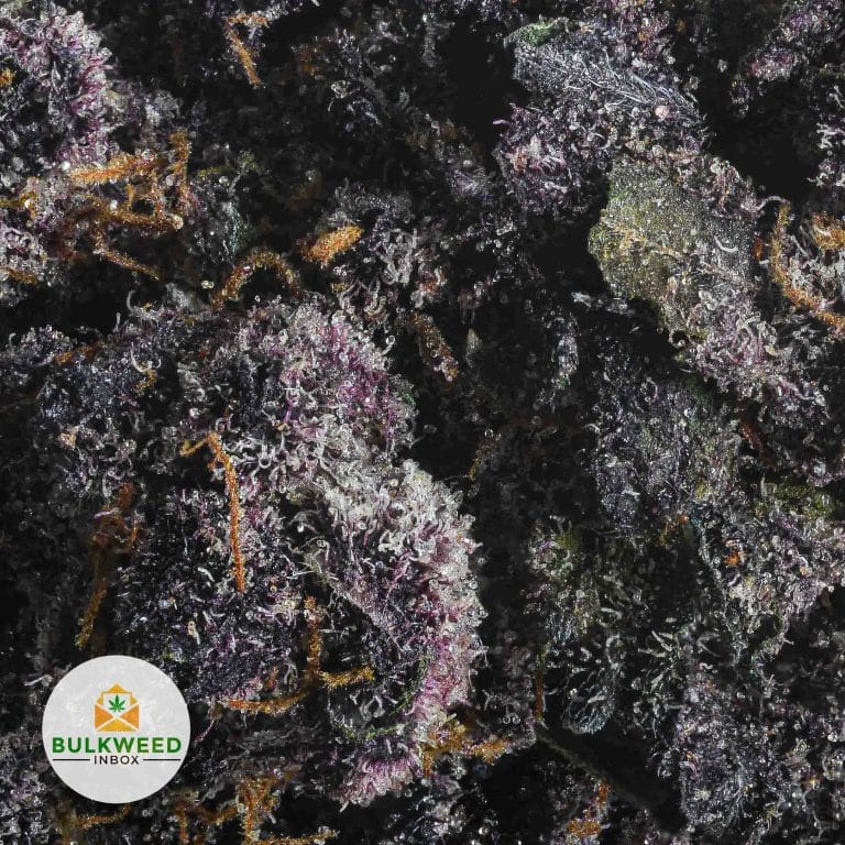 Granddaddy Pluto AAAA+ Strain | Online Dispensary Canada | Bulkweedinbox