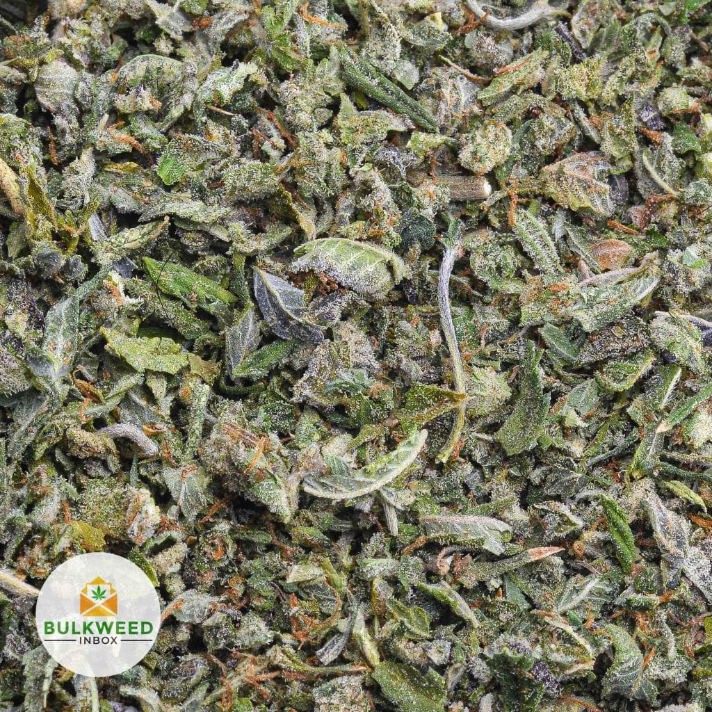 (Craft) Purple Candy Shake Weed - 1 Pound | Buy Weed Online | Online ...