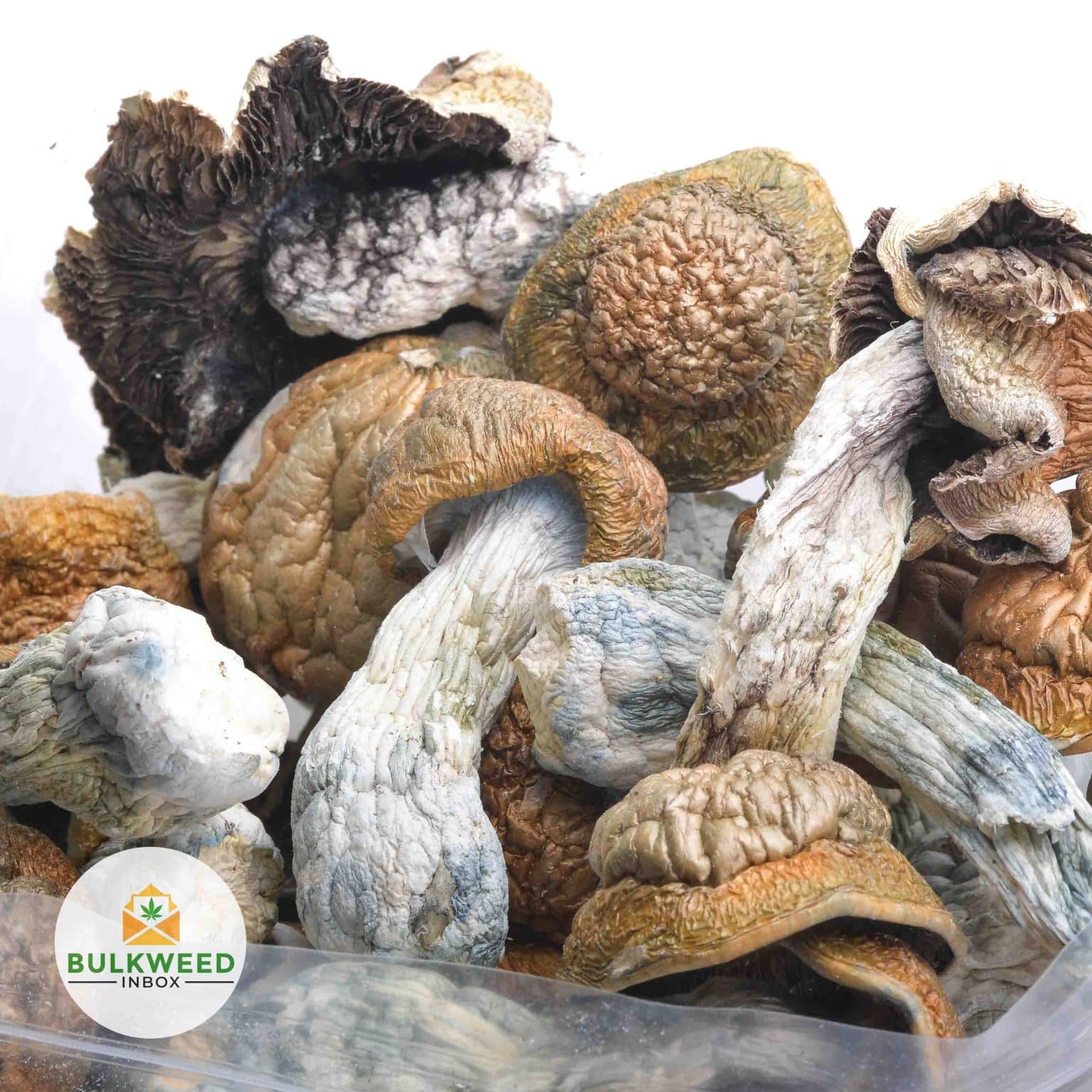 Code Blue Magic Mushrooms | Buy Weed Online