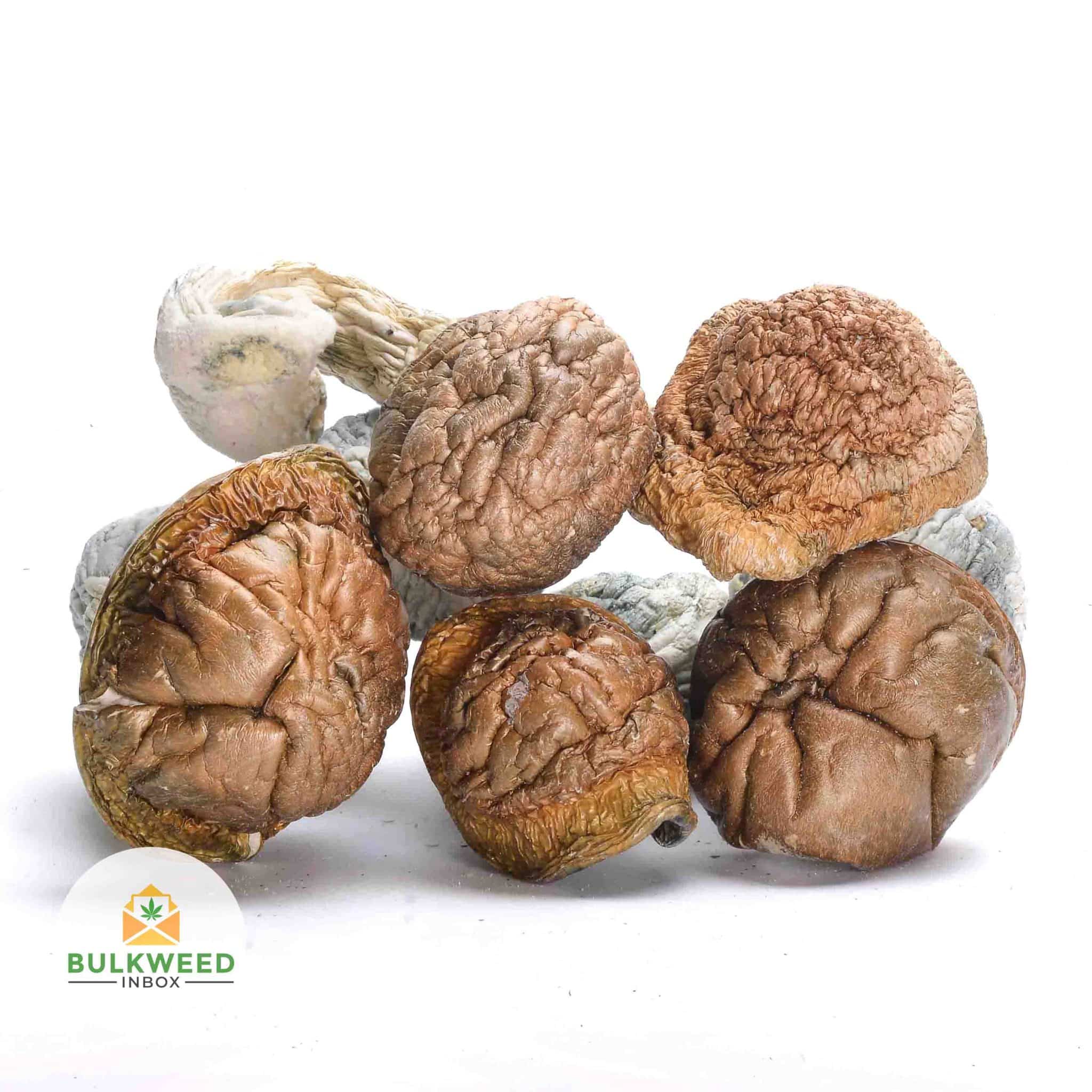 Code Blue Magic Mushrooms | Buy Weed Online