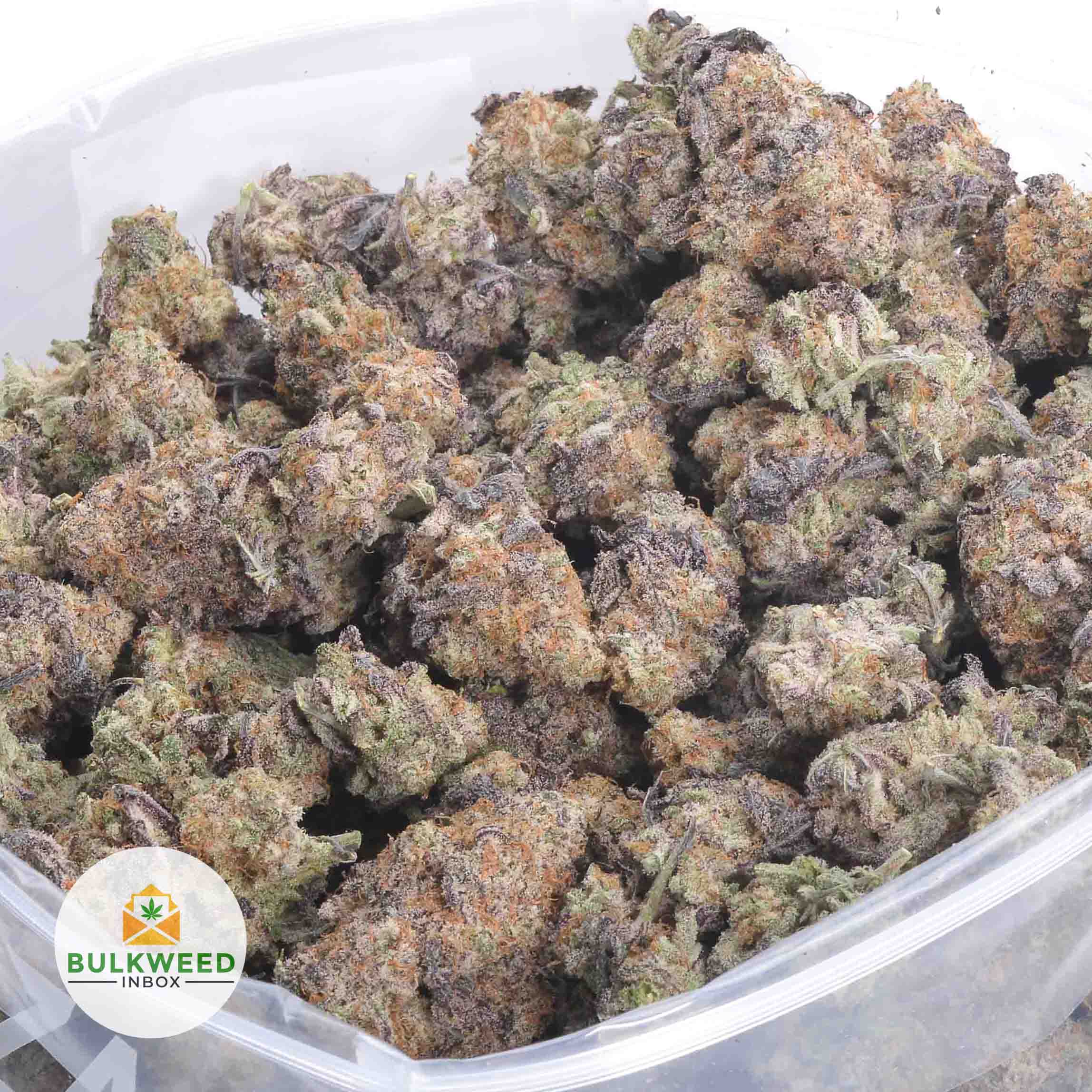 The Toad AAA+ | Buy Weed Online | Online Dispensary