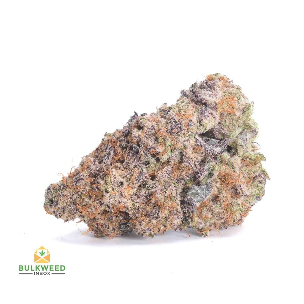 The Toad AAA+ | Buy Weed Online | Online Dispensary