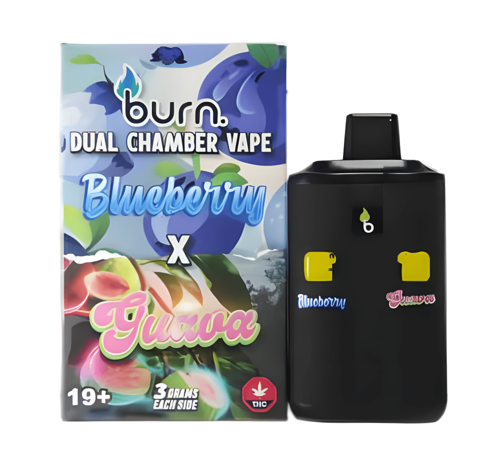 6 Gram Dual Chamber Burn Disposable Vape – Blueberry + Guava (3+3 Gram ...