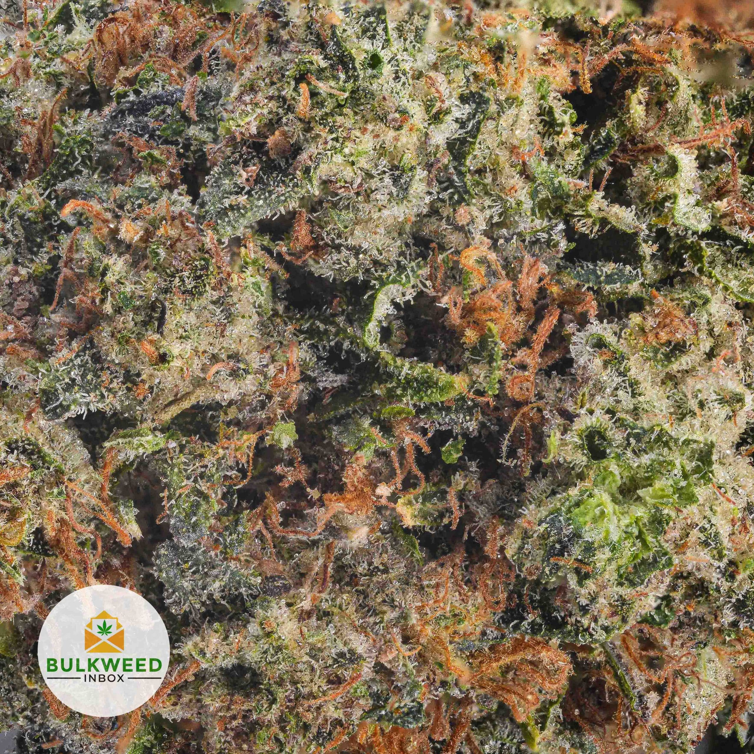 Island Pink Kush AAAA Budget Buds | Buy Weed Online | Online Dispensary