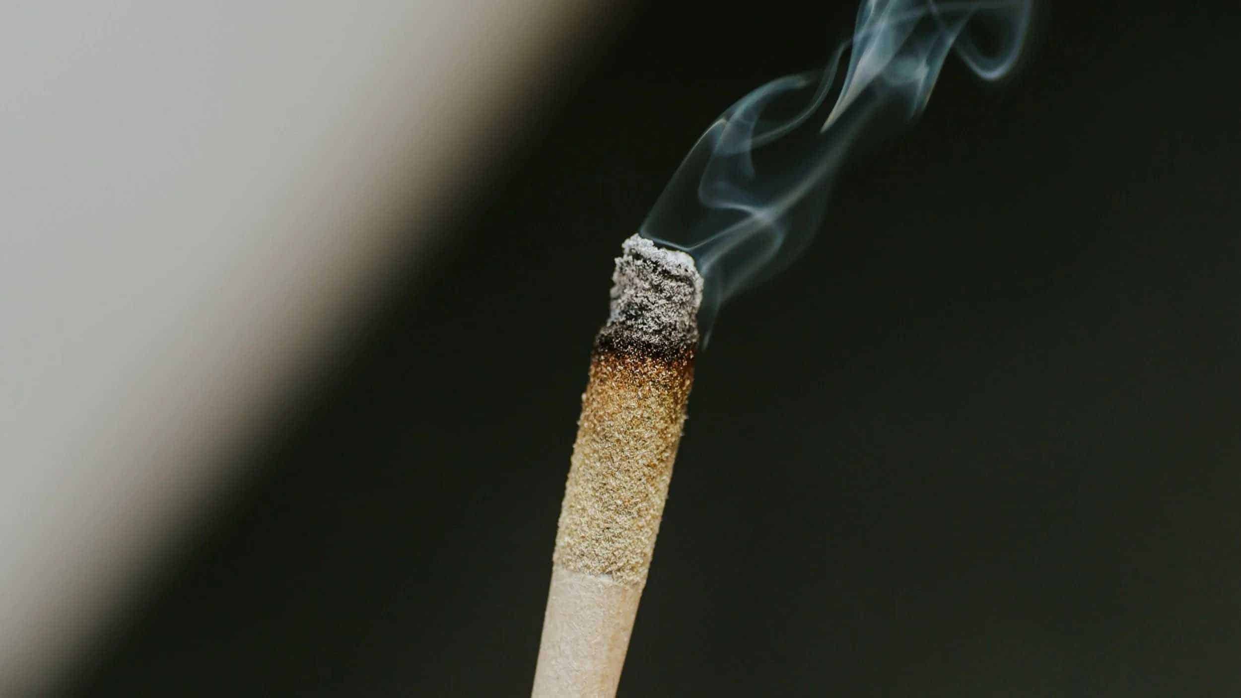 Why Does My Weed Burn Black? The White Ash Test Explained